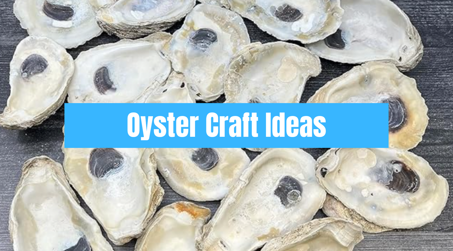 7 Charming Oyster Shell Crafts For Beach Lovers – Tumbler Home