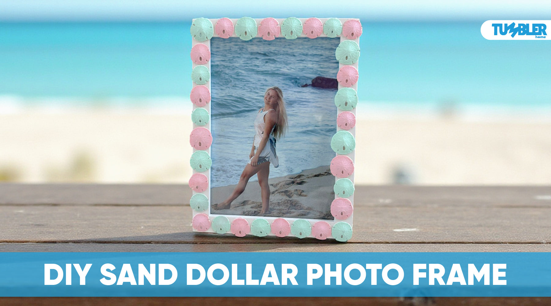 DIY Sand Dollar Photo Frame – Tumbler Home