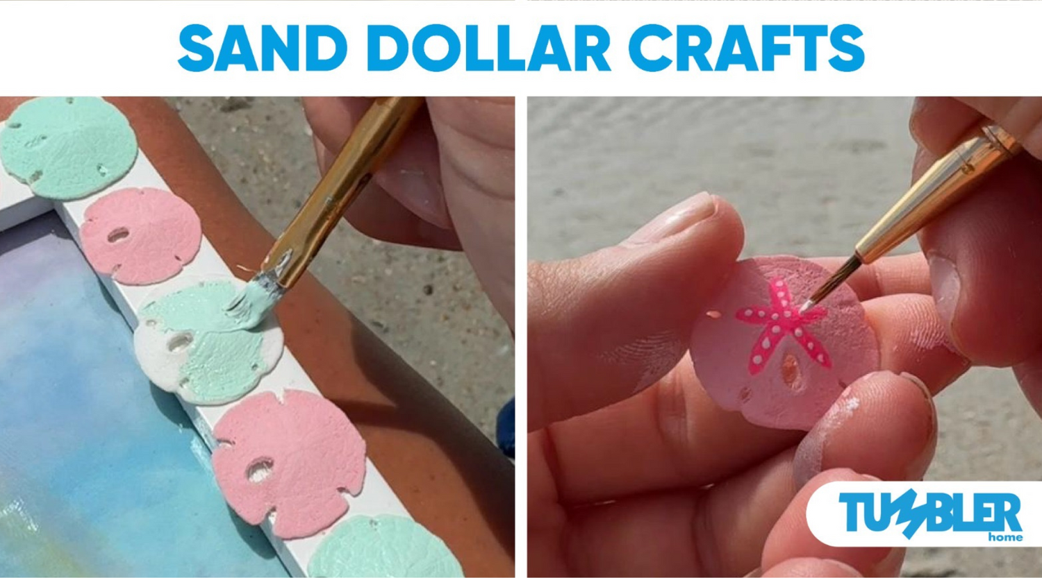 11 Super Cute Sand Dollar Craft Ideas That You Will Love – Tumbler Home