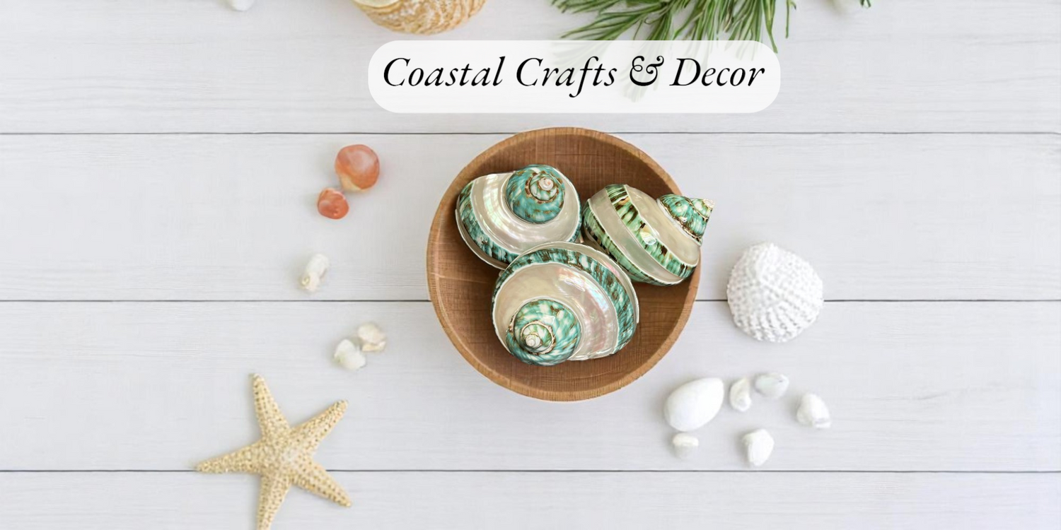 10 Creative Seashell Craft Ideas That Bring the Beach to You – Tumbler Home